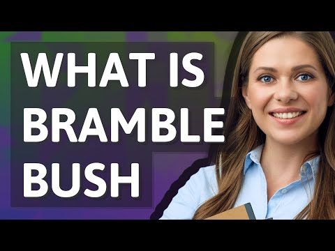 Bramble bush | meaning of Bramble bush