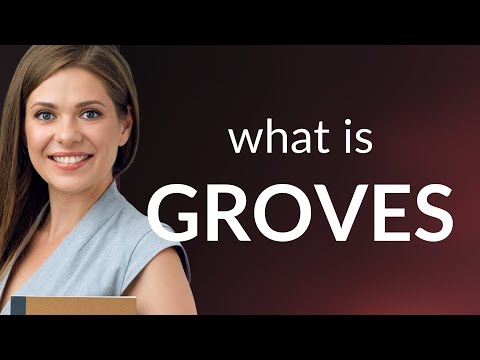 Groves — what is GROVES definition