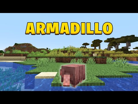 where to find a armadillo in Minecraft 1.21