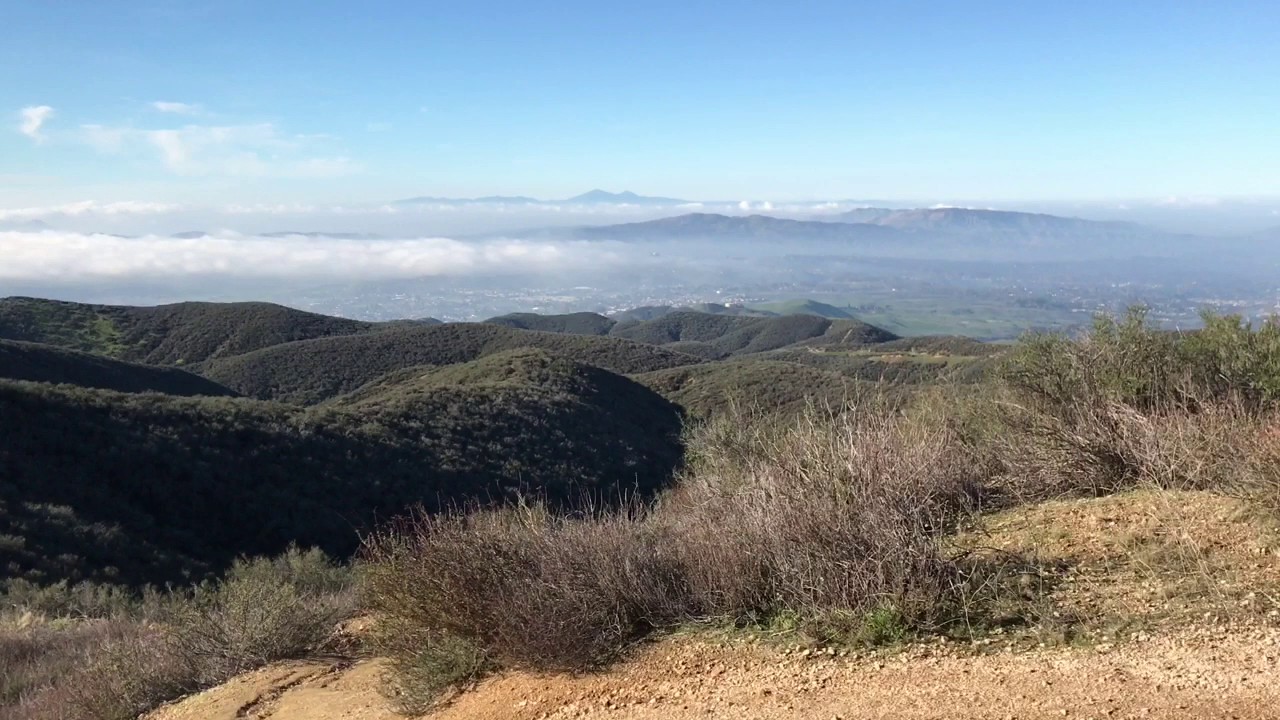 The Chaparral Biome