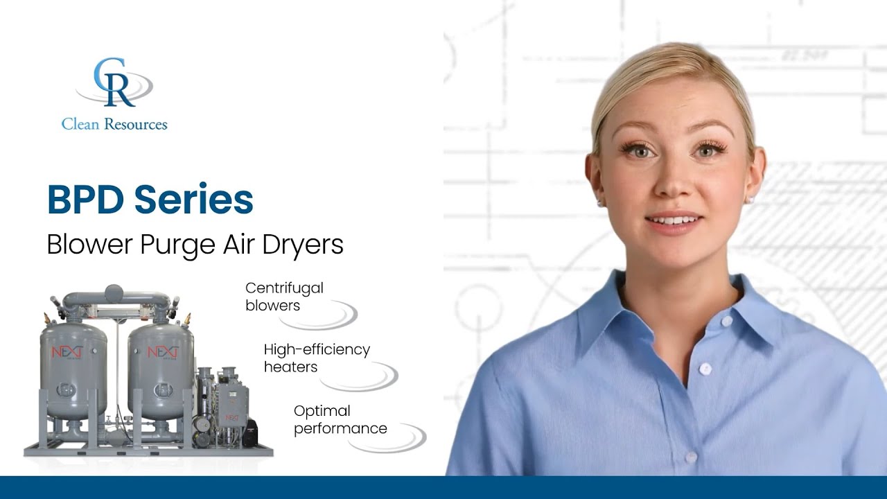 BPD Series Blower Purge Desiccant Dryers