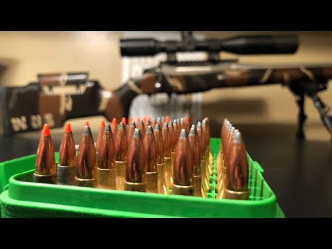 Loading for a Ladder Test; How To Reload 243