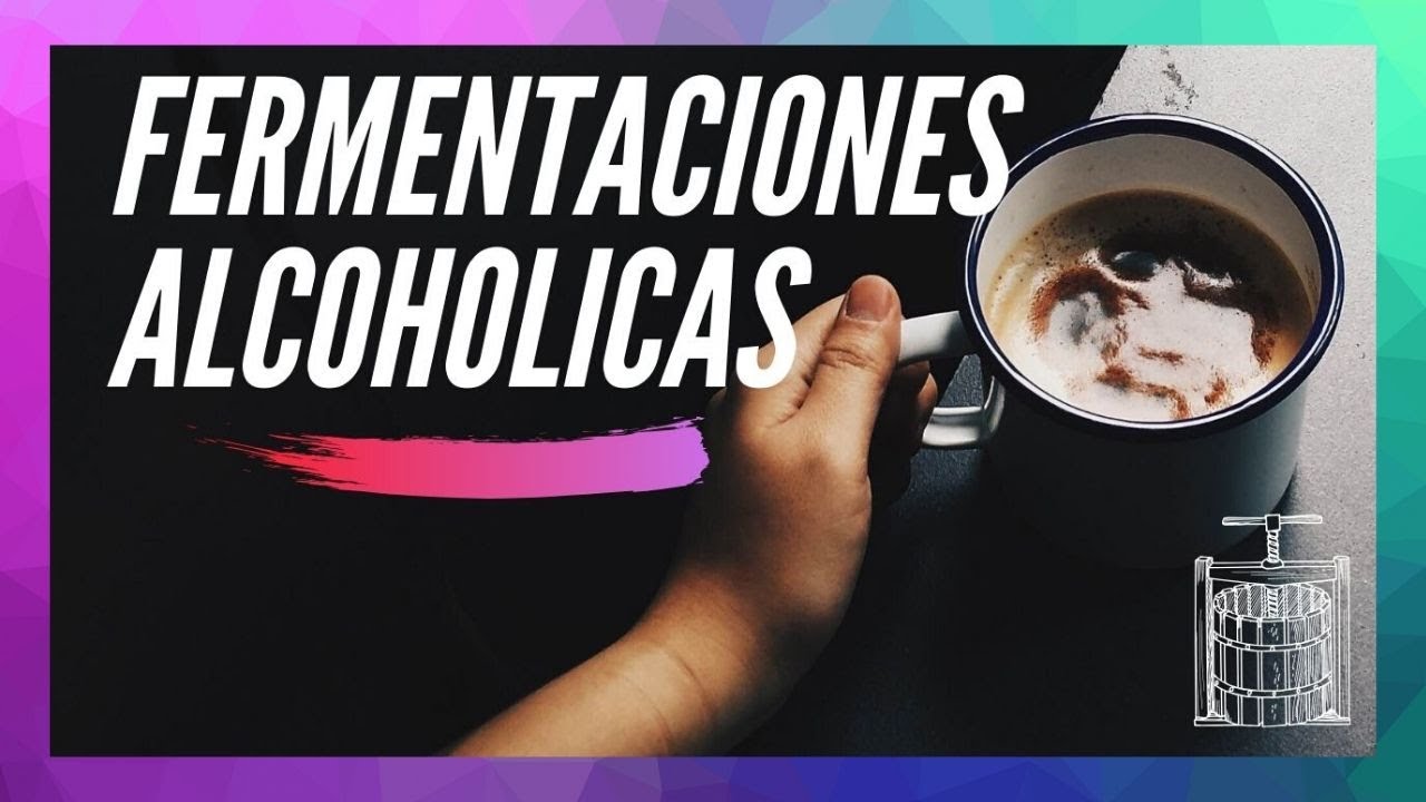 FERMENTACION ALCOHOLICA ( Asi TRABAJAN las LEVADURAS )