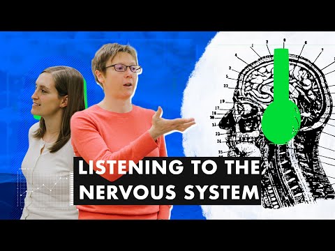 The Sympathetic Nervous System and Vascular Health | Drs. Anna Stanhewicz & Jody Greaney