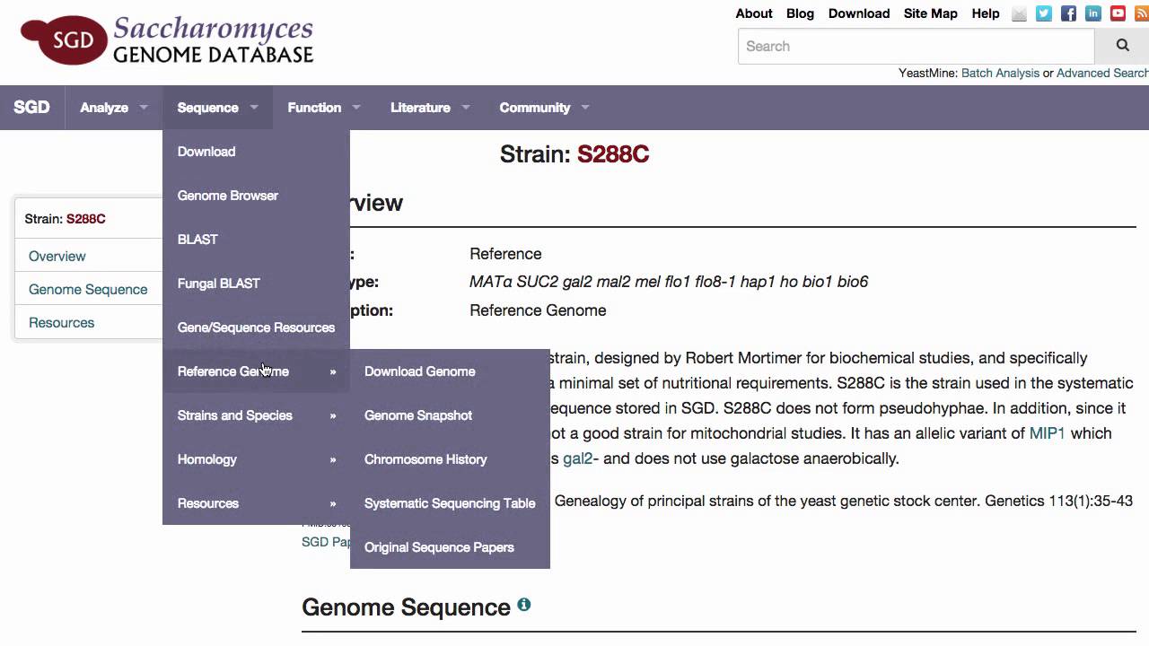 SGD Help: Reference Sequence