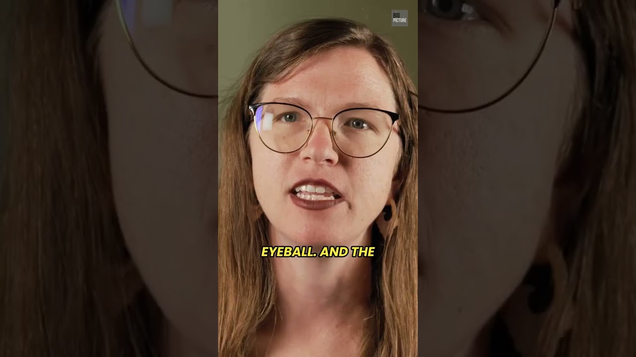 Whitney Webb | The Future of Identification  Biometrics & Digital IDs Explained