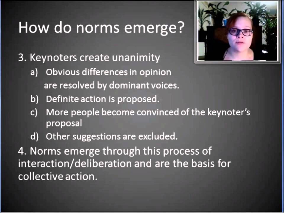 Crowd Behaviour Clip 3  Norm Emergence