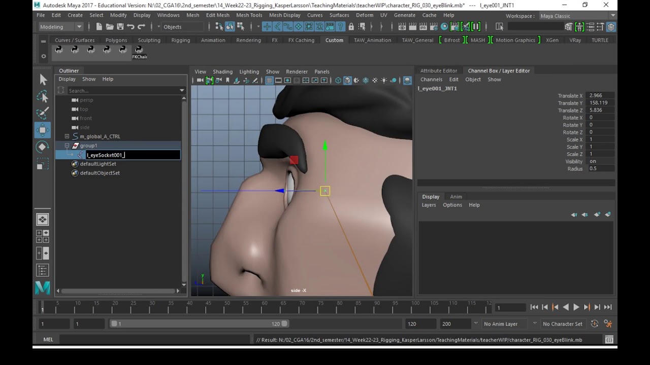 Facial & Biped Rigging Course 101