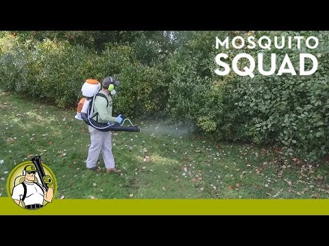 Mosquito Squad of Chelmsford & Cambridge - Quality Services