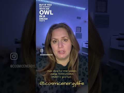 Owls and the spiritual meaning 🦉 happy Friday y’all! #owls #spiritanimal #owllovers #animallover