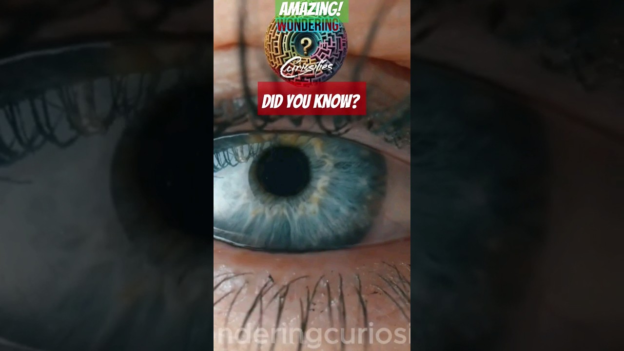 Unbelievable! DO YOU KNOW the Remarkable Fact About Our Eye's Cornea? #facts #amazing #eye