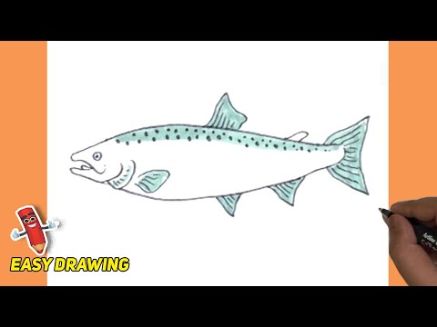 Salmon Drawing Step by Step Tutorial – I'm Youtuber – Follow my videos ...