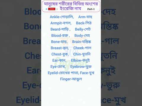 ইংরেজি তে Human Body parts name #shorts #spokenenglish #learning @BanglaToEnglishA2Z