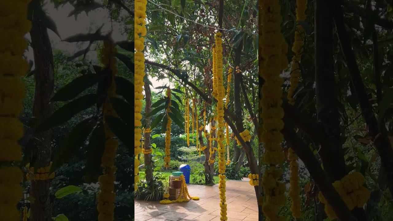 BTS: Creating Magic at AURA - Lakeside Luxury Wedding Venue. #indianwedding #bangalorewedding #aura