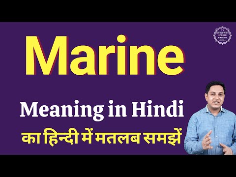 Marine meaning in Hindi | Marine ka kya matlab hota hai | daily use English words