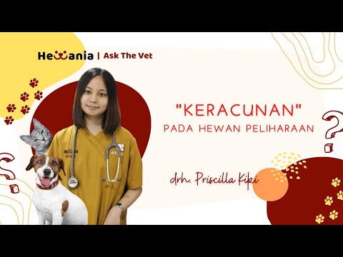 Keracunan pada Hewan Peliharaan? Jangan Khawatir! - drh. Priscilla Kiki #AskTheVet Hewania