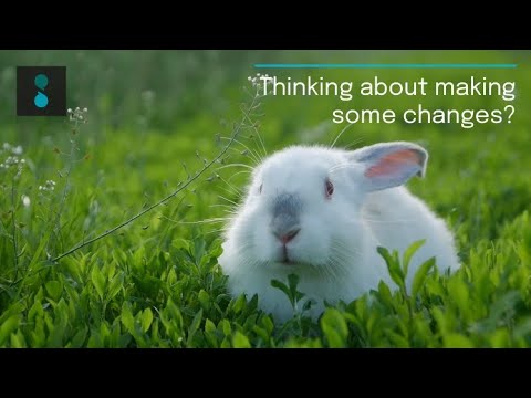 Get Hopping! | Sogolytics
