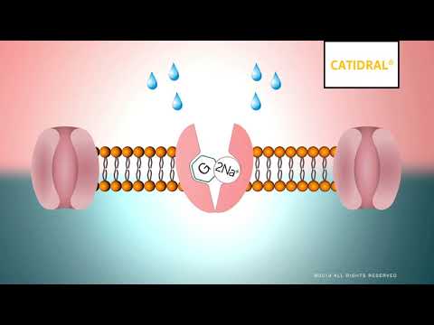 CATIDRAL milteliai nuo viduriavimo geriamajam tirpalui paruošti, 12 ...