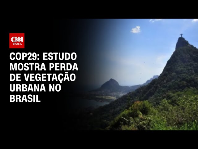 Understand who the main participants are and what is at stake at COP29 ...