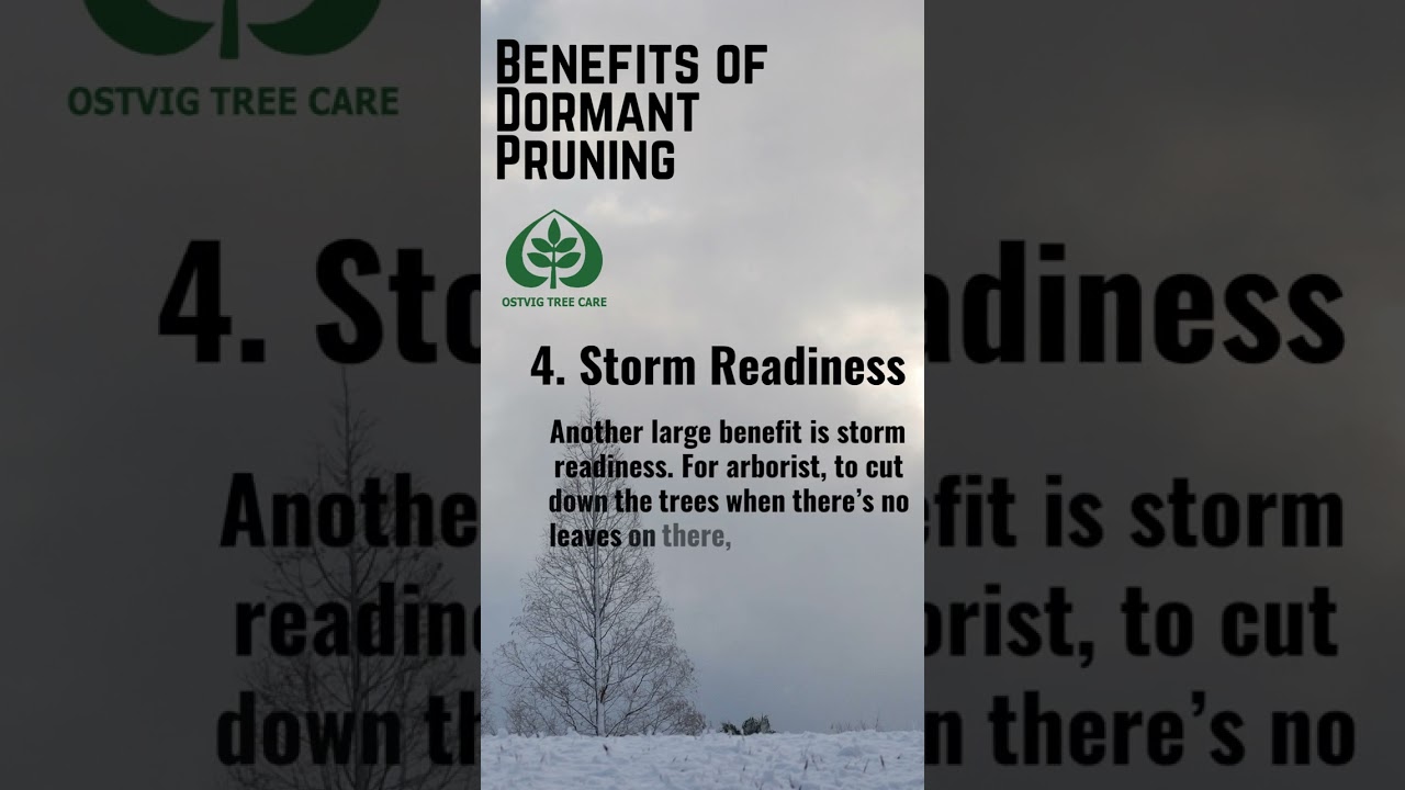 Pruning During Winter - Dormant Pruning