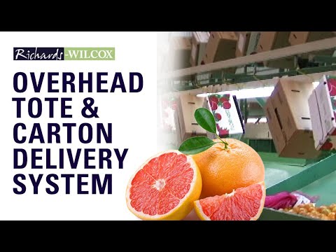 Tote & Box Delivery Systems | Overhead Conveyor Systems for Distribution Centers | RW Conveyor