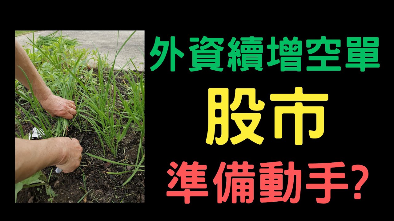 3231 緯創 - https://youtu.b...｜CMoney 股市爆料同學會