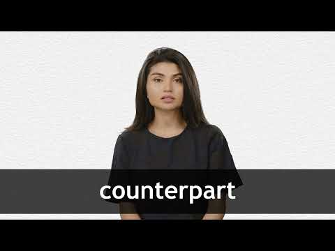 COUNTERPART definition in American English | Collins English Dictionary