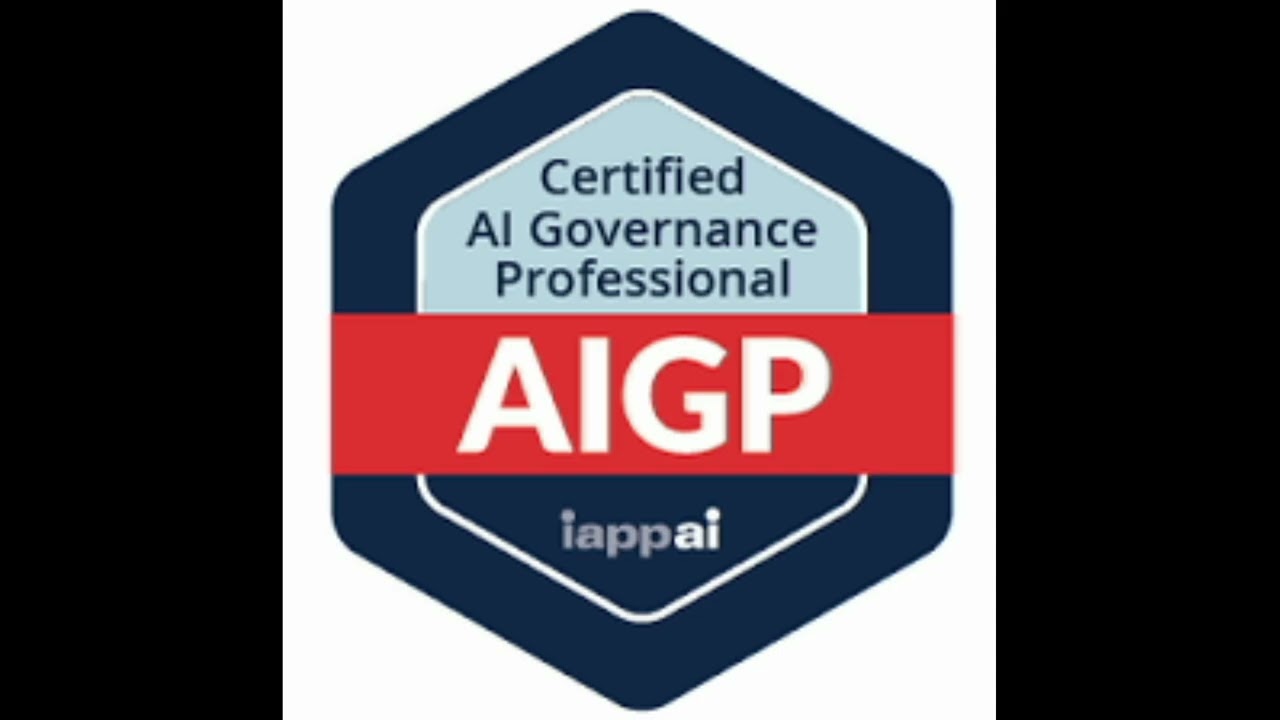 AIGP Study Guide Chapter 10