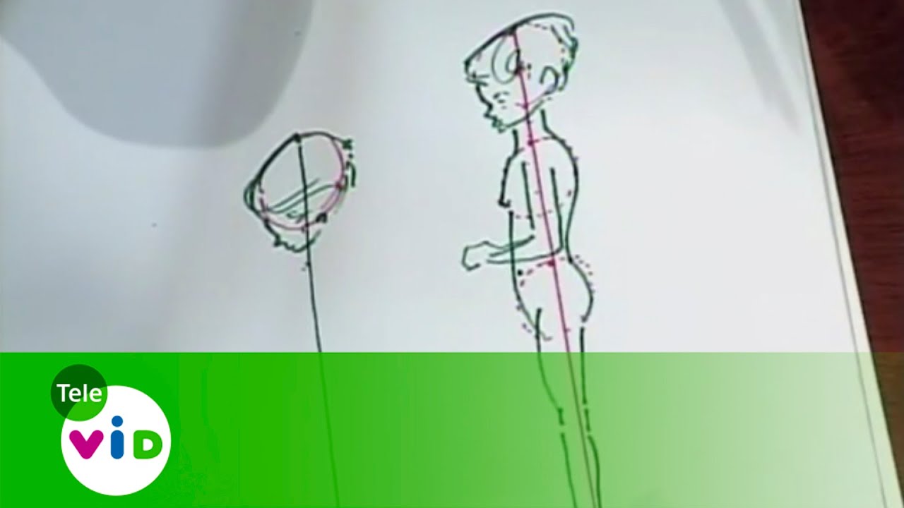 Proporciones Del Cuerpo - Tele VID