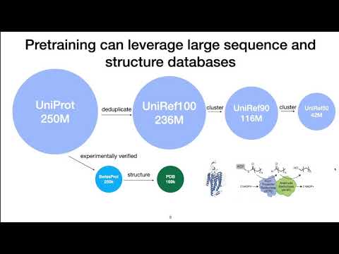 Pretraining and representation learning on proteins
