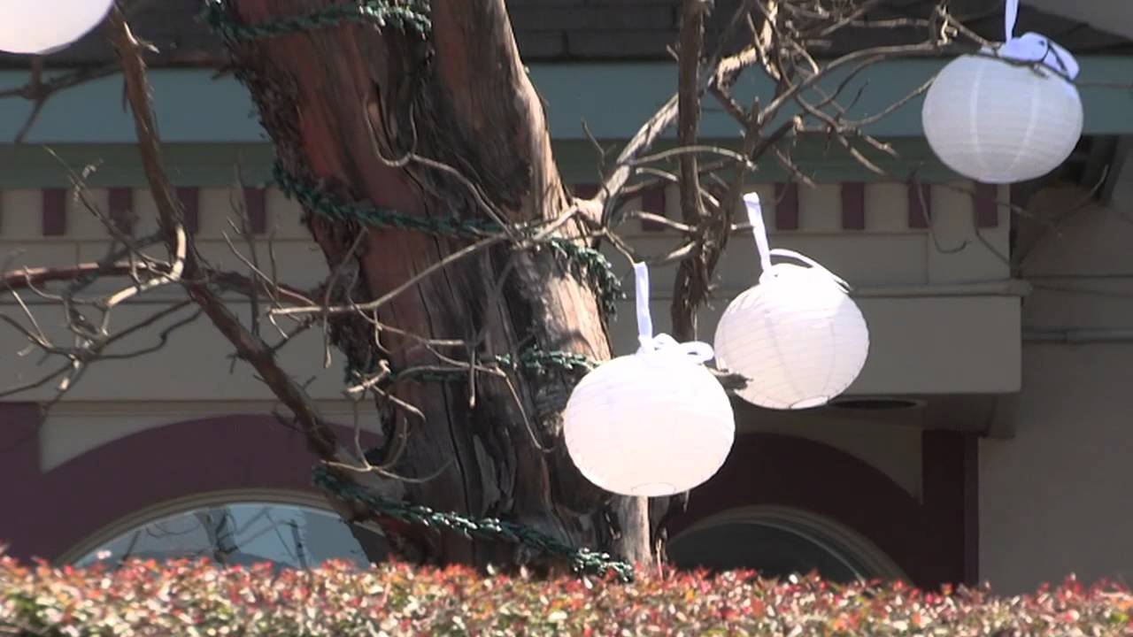 Maple Hall | Arts Alive Promo