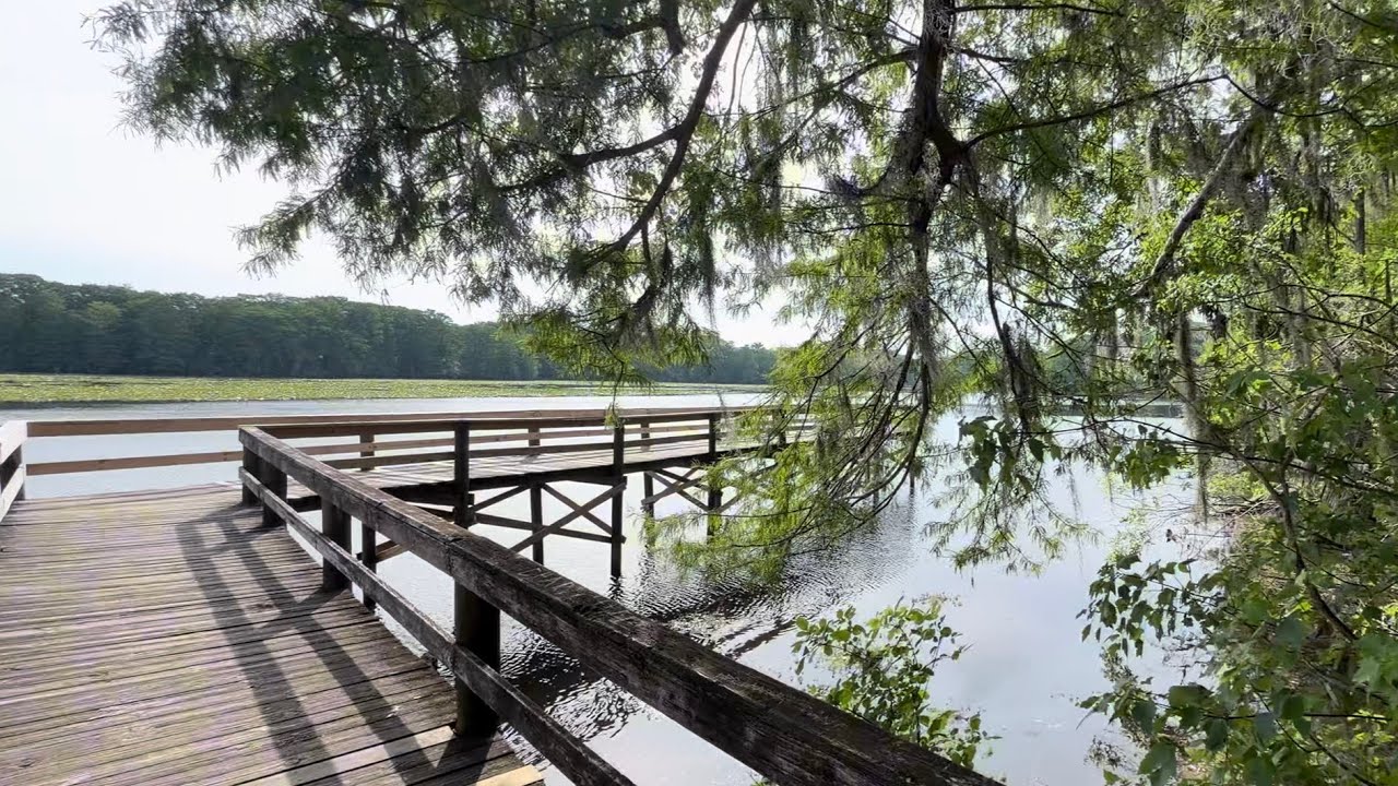 My favorite spot in Central Florida Full of old growth Cypress 