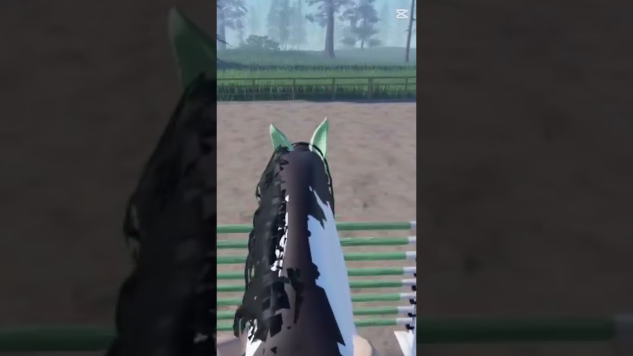 Jumping 95 cm with mint… #blowup