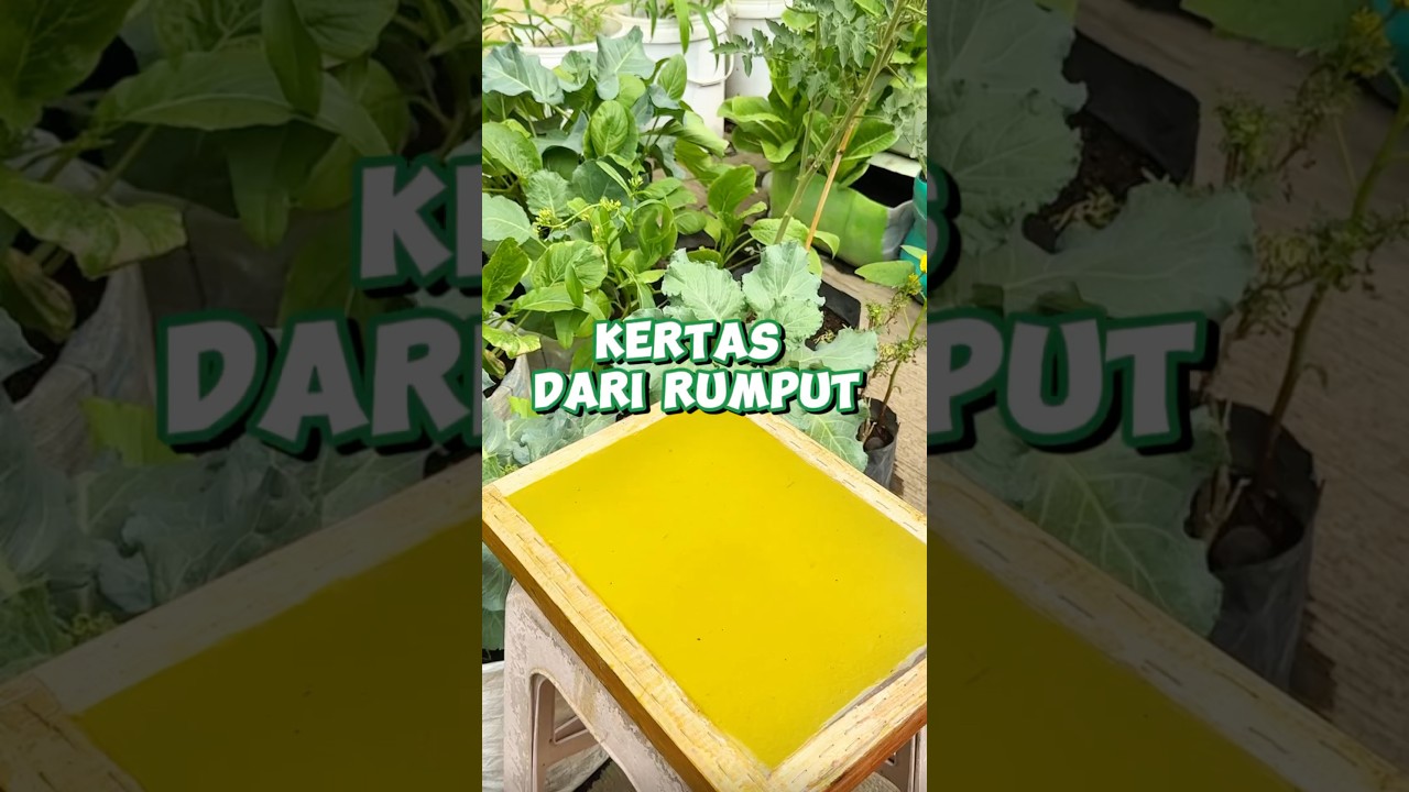 Craziest life hack ‼️ Make paper from grass