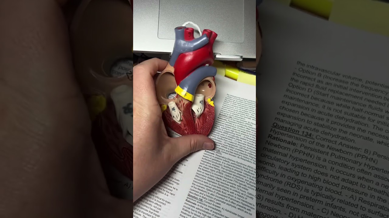 TAPVR - Total anomalous pulmonary venous return on a 3-D model ￼