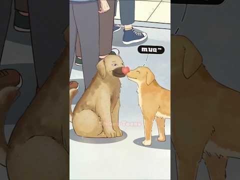 A Place to Find Love #dog #shorts #animation