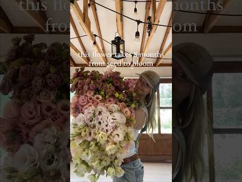 Are you brave enough to try growing lisianthus? Full how to on our channel!! #flowers #garden