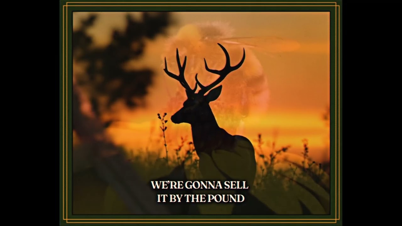 Turnpike Troubadours - What Was Advertised (Official Lyric Video)