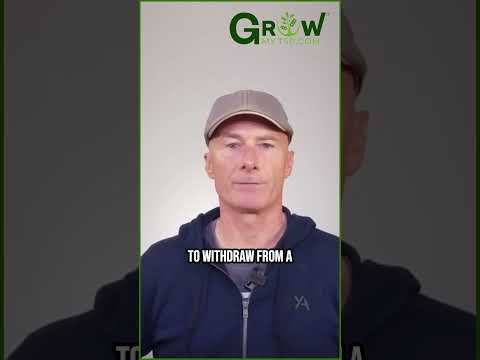 What is the 55 Yr Rule in TSP?