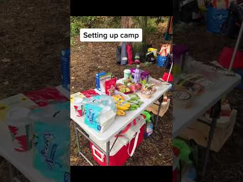 Behind the scenes of the Varied Thrush music video (coming January 2023!)