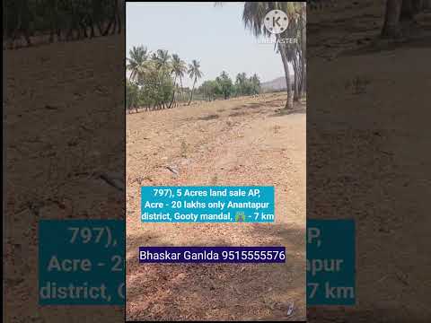 5 Acres land AP, Acre- 20 lakhs anantapur district Gooty mandal, #agriculturelandforsaletelangana