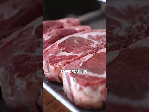 Why SALT Is Important On The Carnivore Diet! 👉