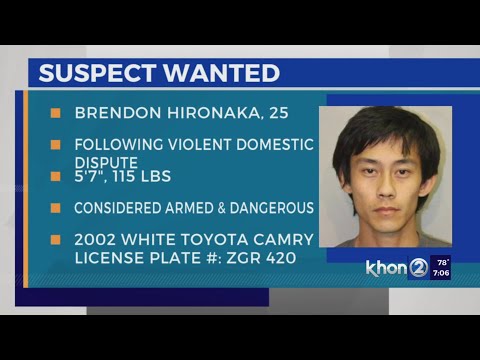 Big Island police searching for armed suspect following domestic dispute in Puna