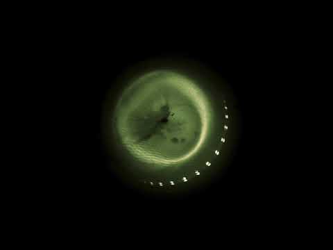 Angad Berar /// A'tuin'in (Official Audio)