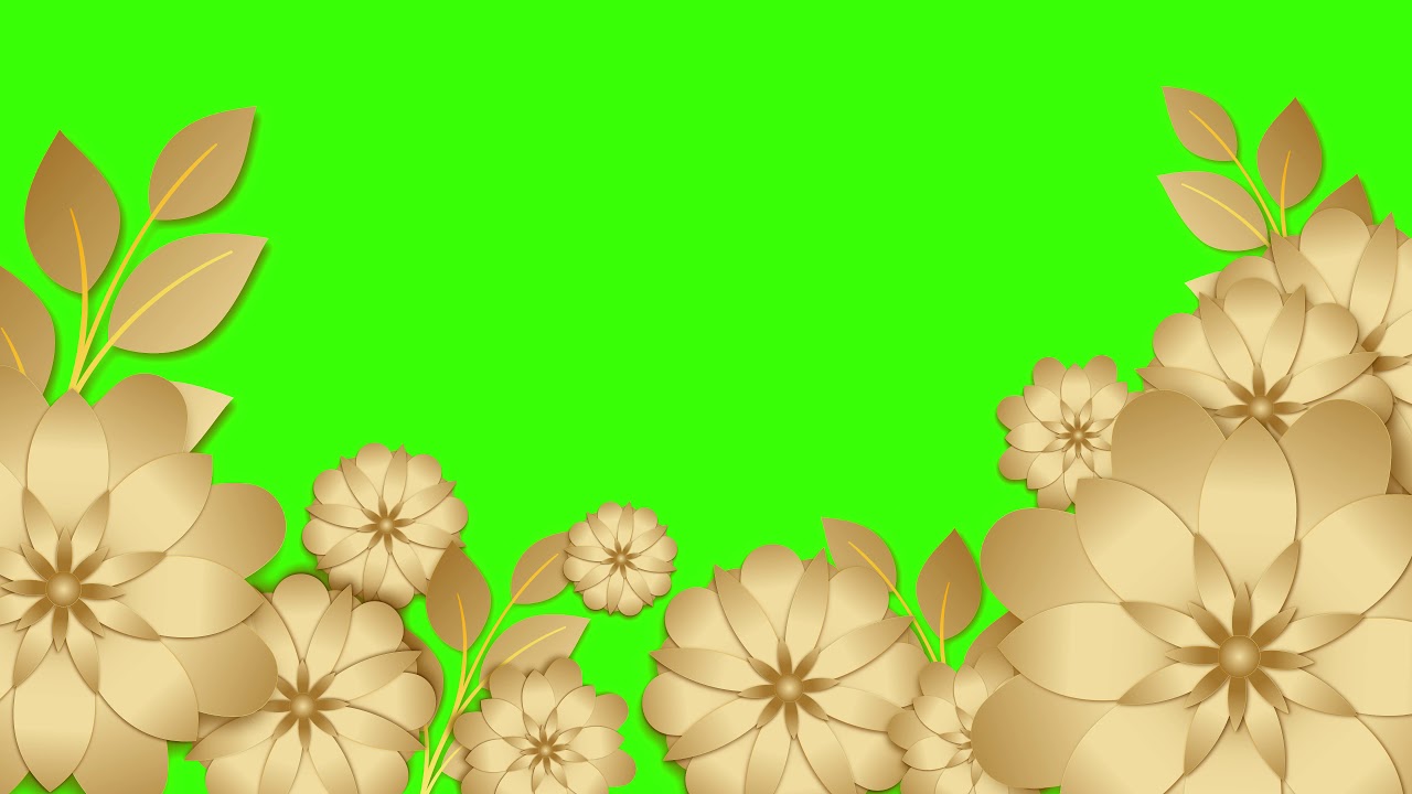 Free gold flower animated  | Green Screen Effects Screen