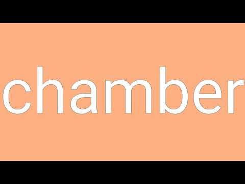 Chamber Definition & Meaning