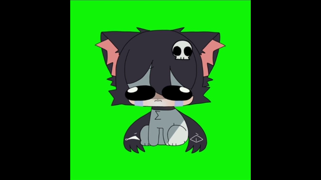 Sad hamster meme green screen