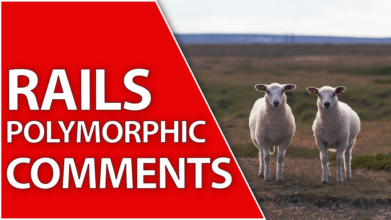 Polymorphic Models in Ruby on Rails 7