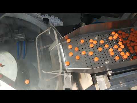 Wad Inserting Machine at Best Price in India