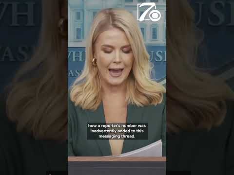 Karoline Leavitt derides "mainstream media"